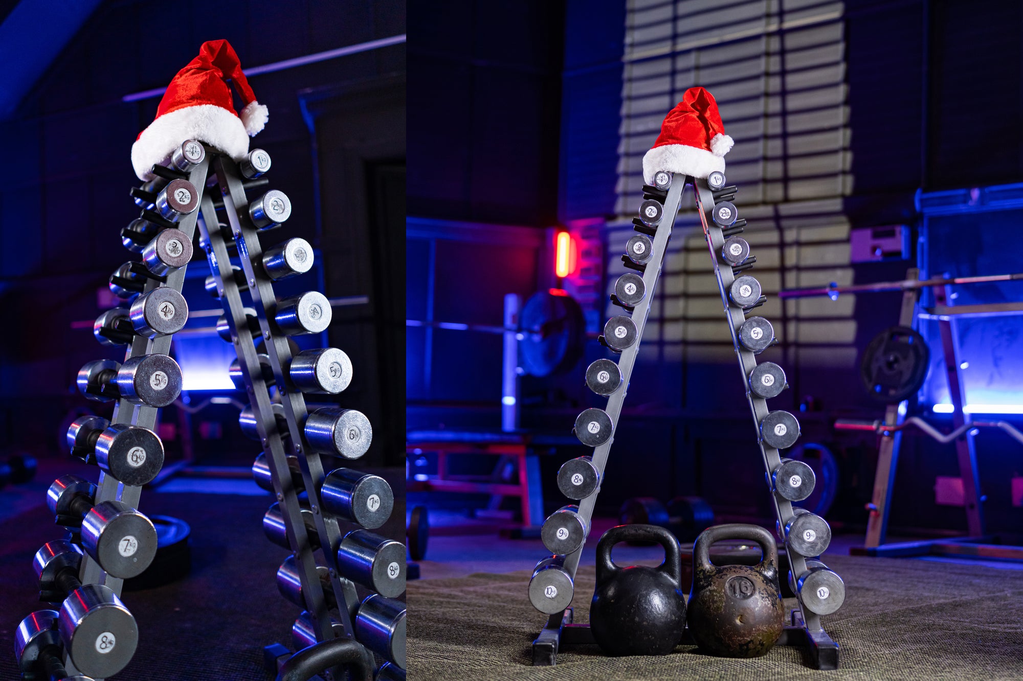 Fitness For Life - FFL- Fitness Equipment – Fitness For Life FFL